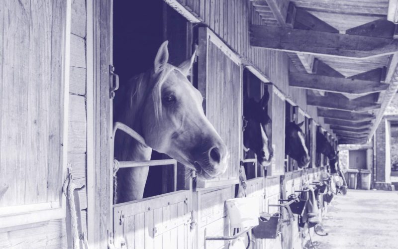 How Max Siegelman Expertly Used Word of Mouth to Promote Fashion Brand ...