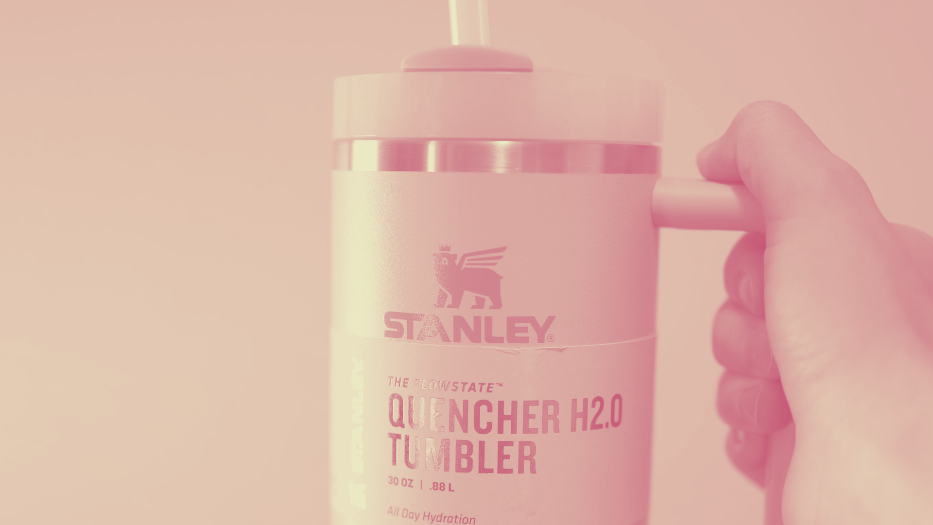 From Failure to Phenomenon: How Stanley’s Strategic Shift in Audience ...