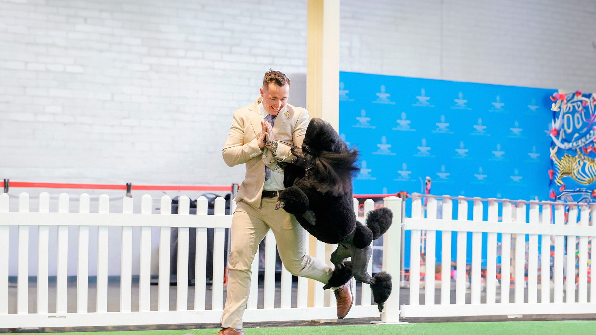 Building a Successful Dog Grooming Business with James Bennett - CXO ...